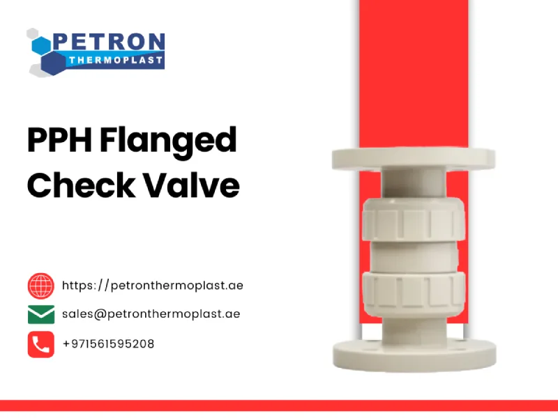PPH Flanged Check Valve - Petron Thermoplast